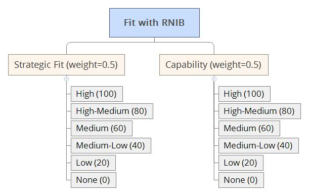 Case Study: Helping RNIB inform their strategic priorities with multi-criteria decision analysis ...